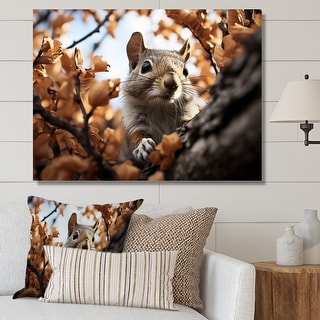 Designart "Grey Squirrel Squirrels Antics" Animals Canvas Prints - Bed Bath & Beyond - 39289573